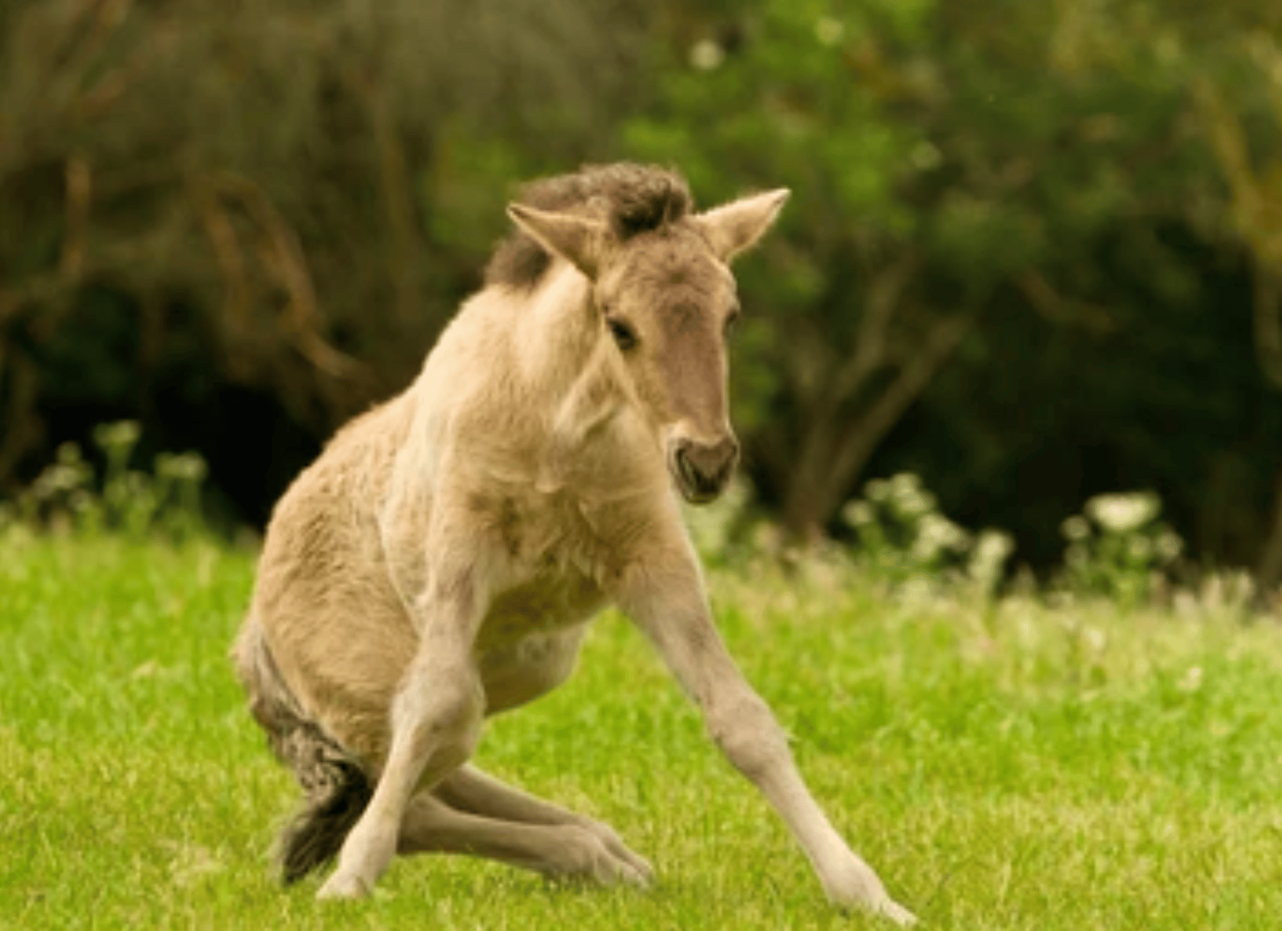 5 Signs You Are Growing As An Athlete