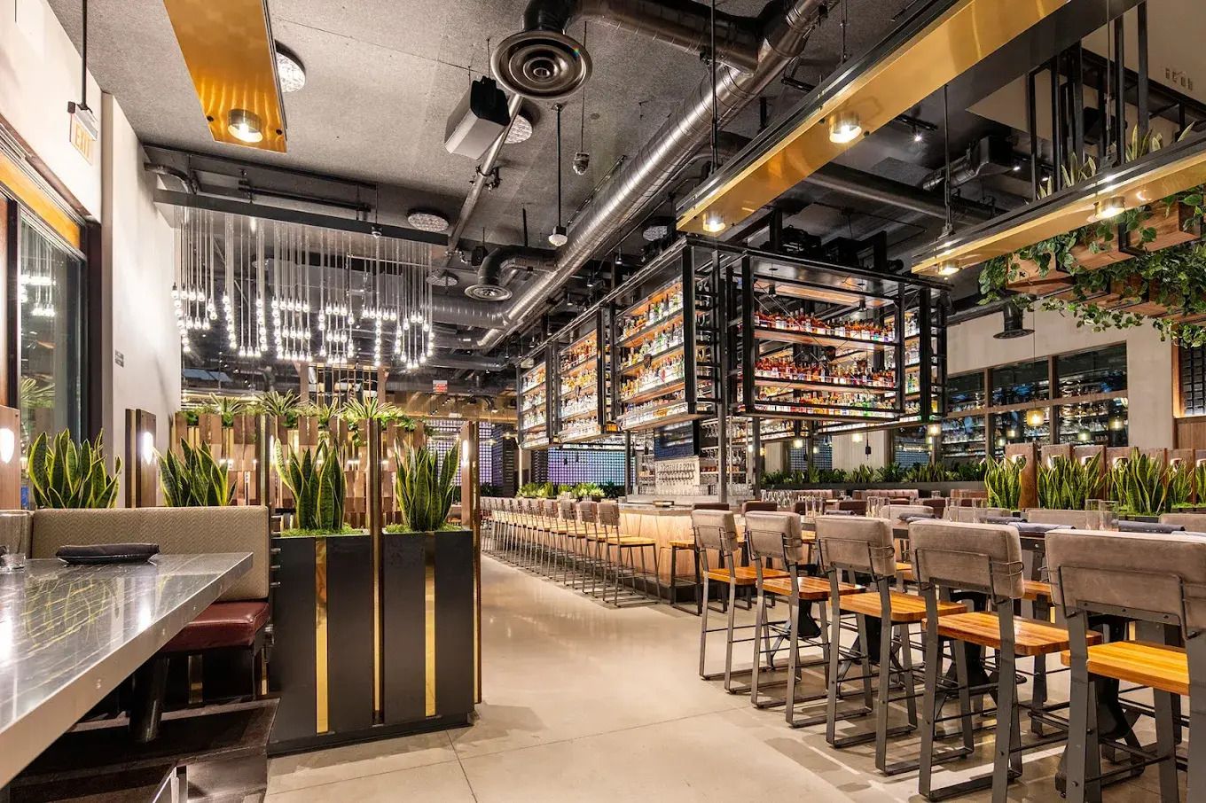 This Week in OC: Tacos, Art Shows, Line Dancing, Candlelight Concerts ...