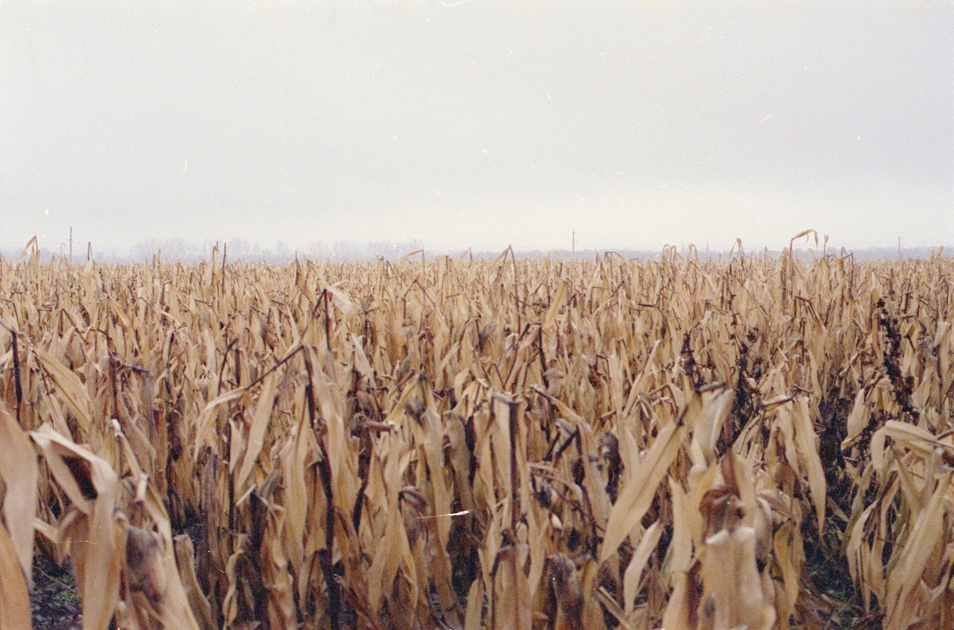 A Congressional Examination of Pharm-to-Table Deals Offers Zero Surprises - Reid Strategic