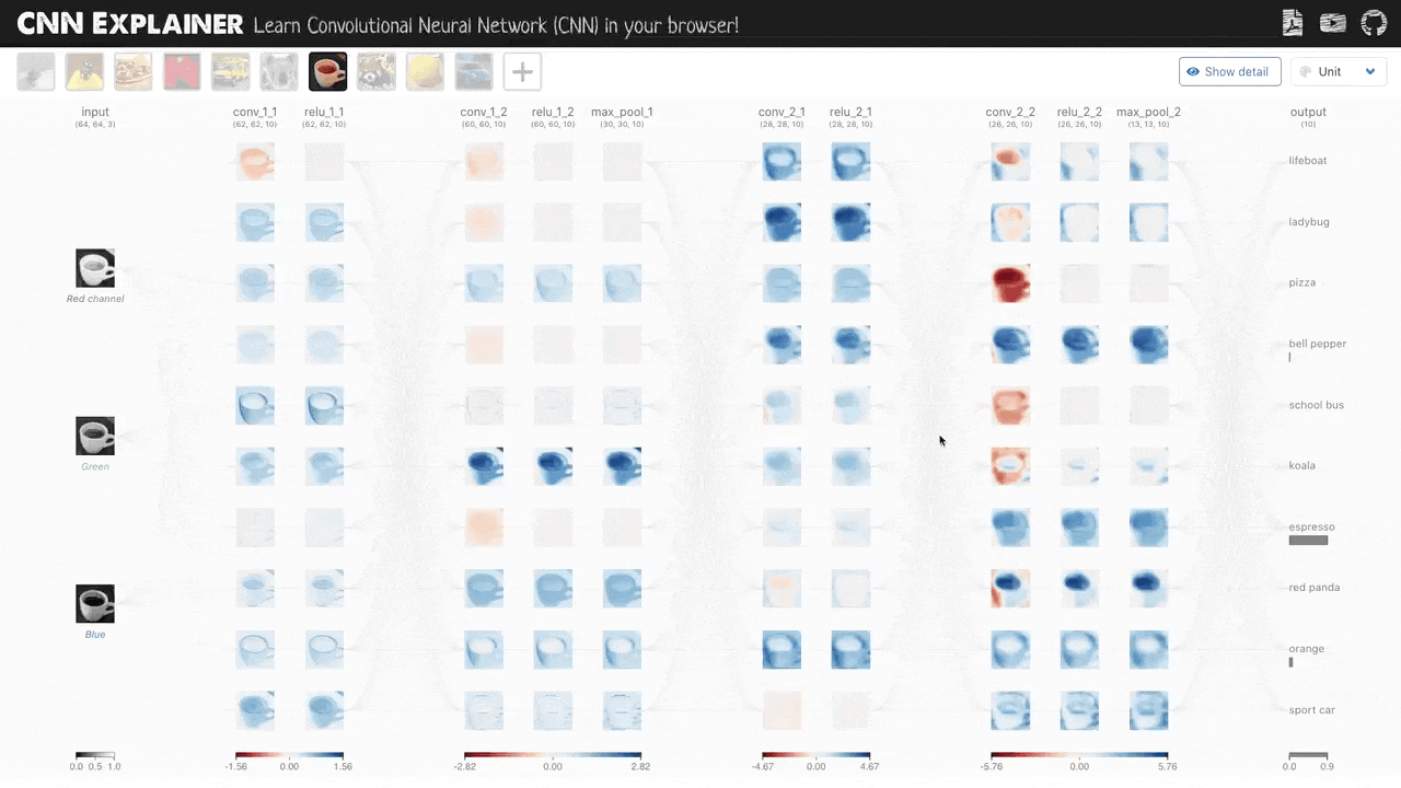 CNN Explainer: An Interactive Tool to Understand CNNs