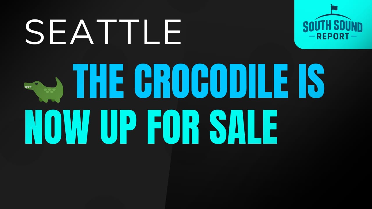 🎸 Seattle Music Icon The Crocodile Is Up for Sale