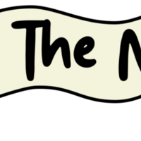 charitable work permit canada