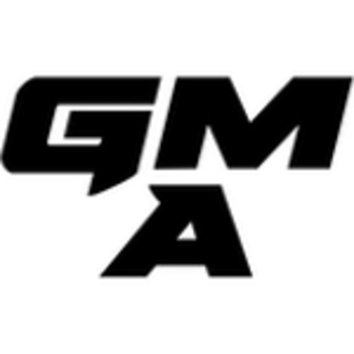 GM Authority