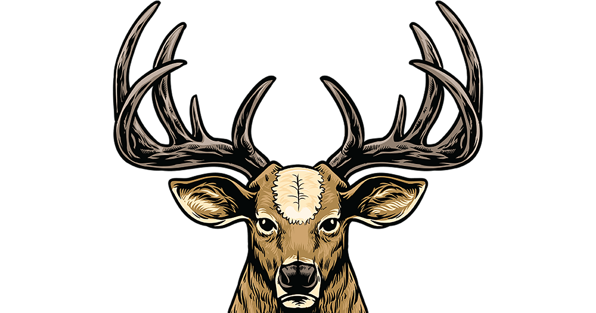 Bald Buck