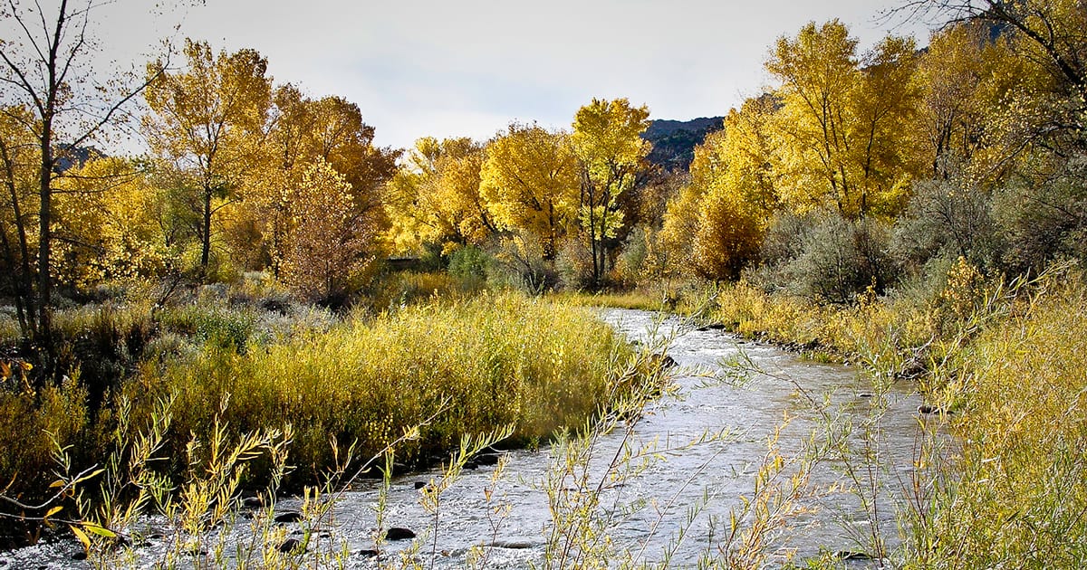 Embudo Valley Town Crier