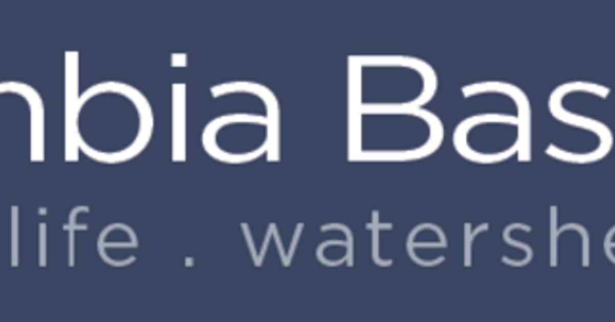 basis bay logo