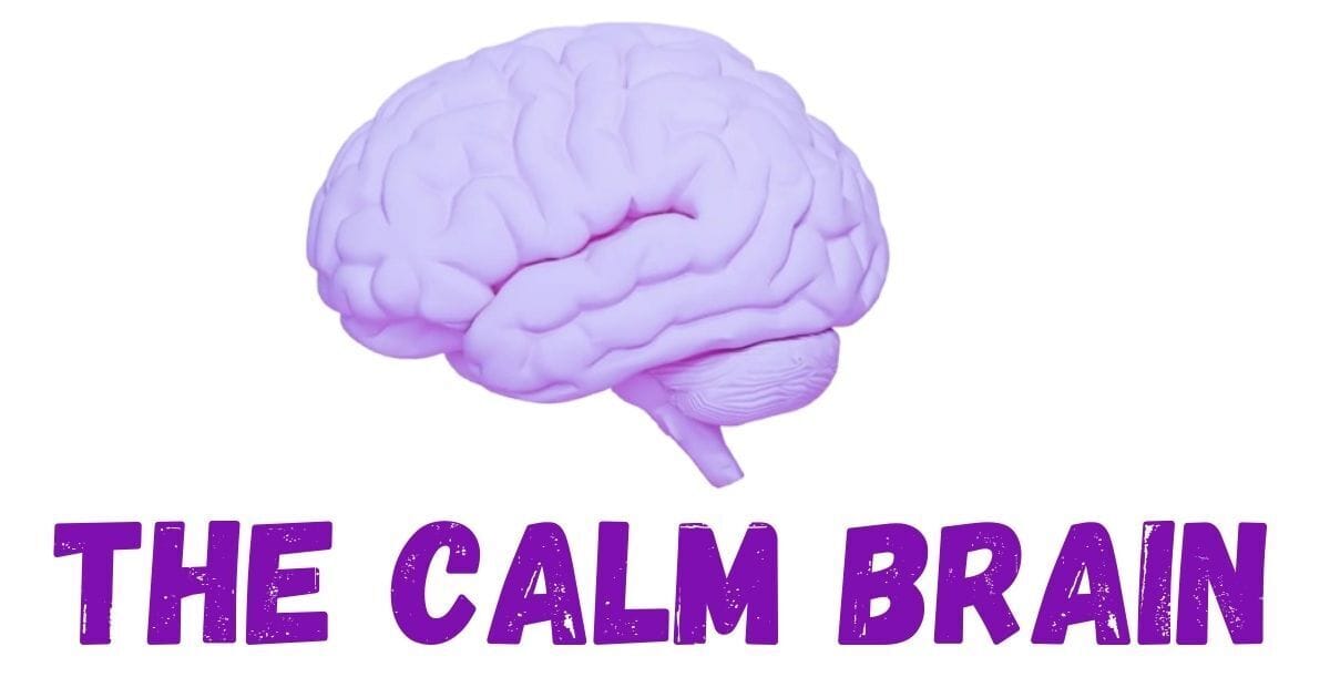 Home | The Calm Brain's Newsletter