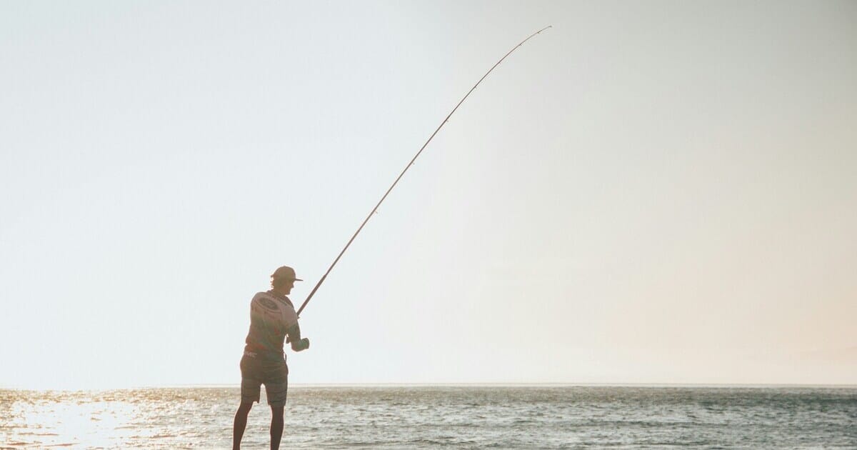 Subscribe | Tidyman Newsletter