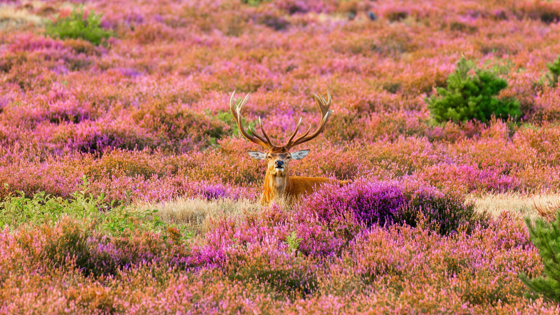 A Quiet Shift Is Underway