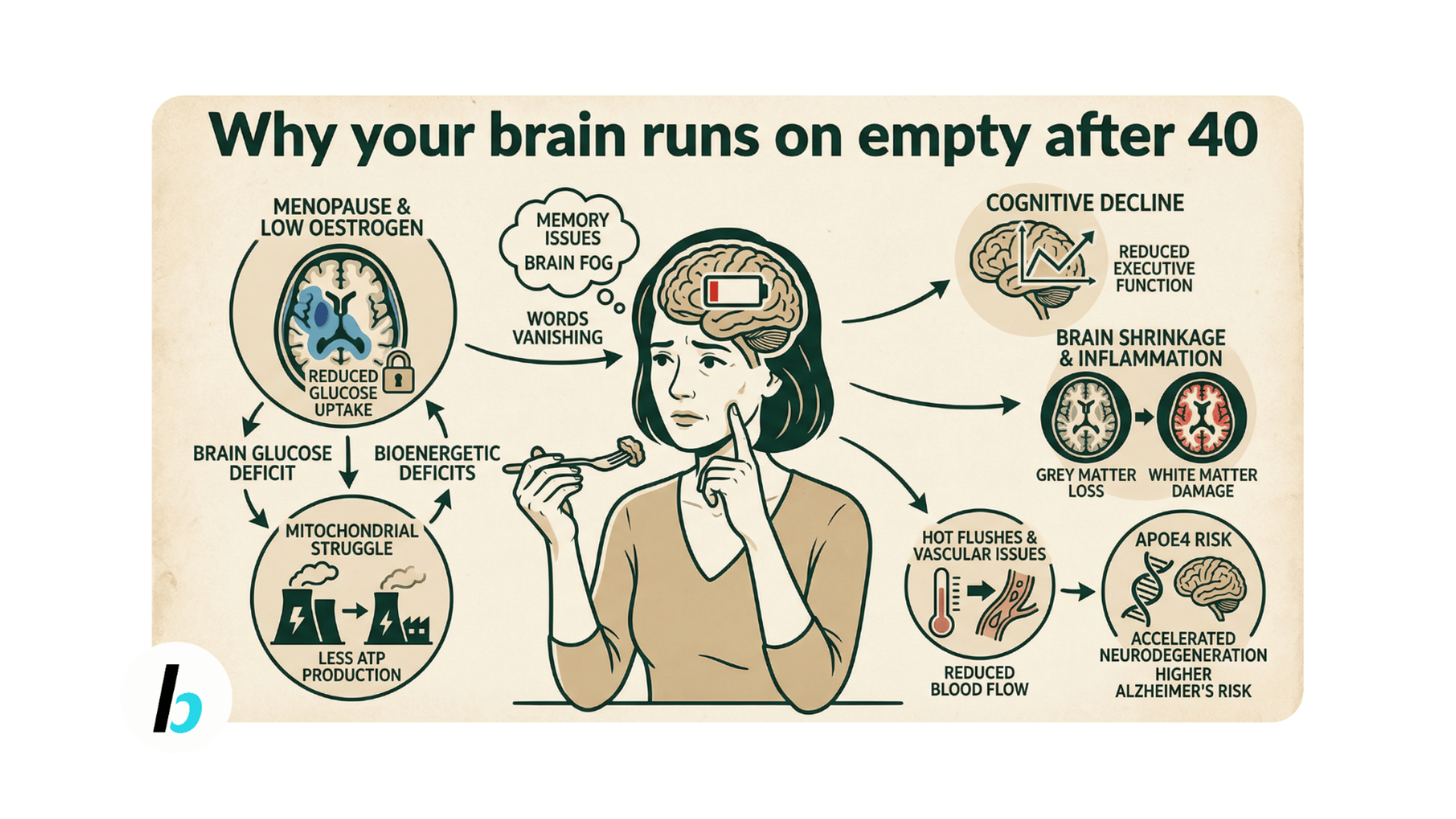 BusyBits #212: Your brain starves after 40, here's why