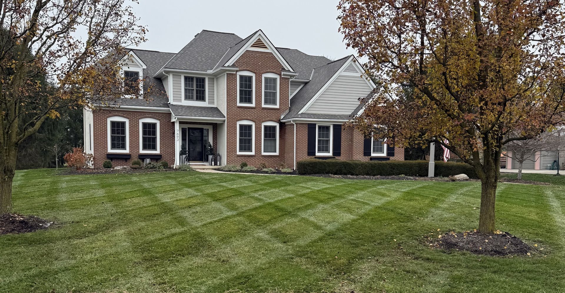 Weekly Update: Issue 4