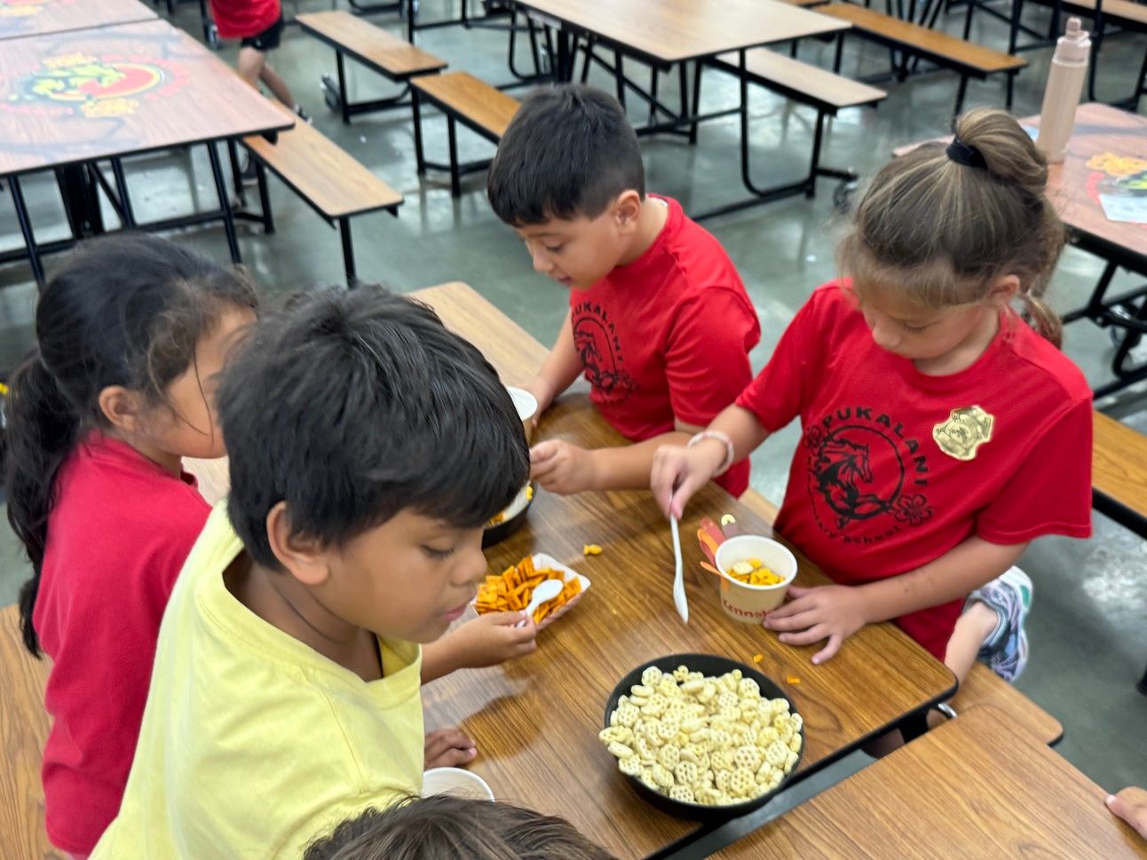 December 2024 Newsletter