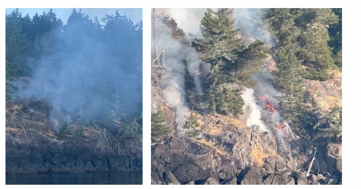 Fire at Thetis Lake quickly contained, but suspected to be human-caused ...