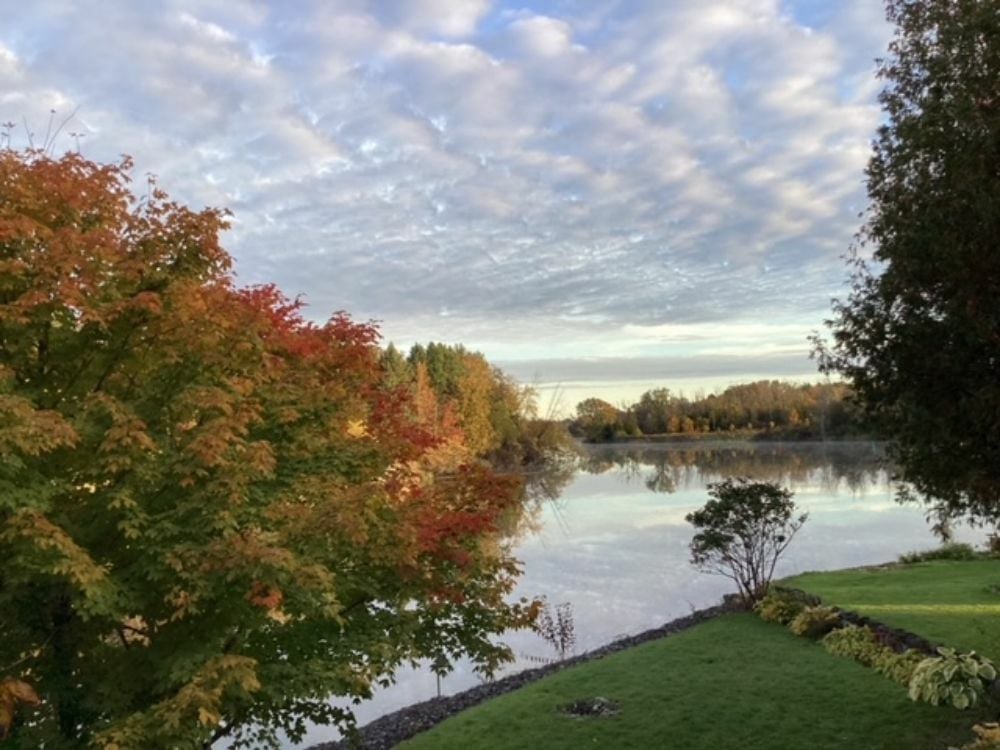 City left residents without leadership during convoy, inquiry hears ...