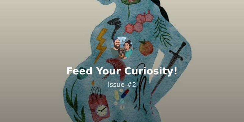 Feed Your Curiosity!