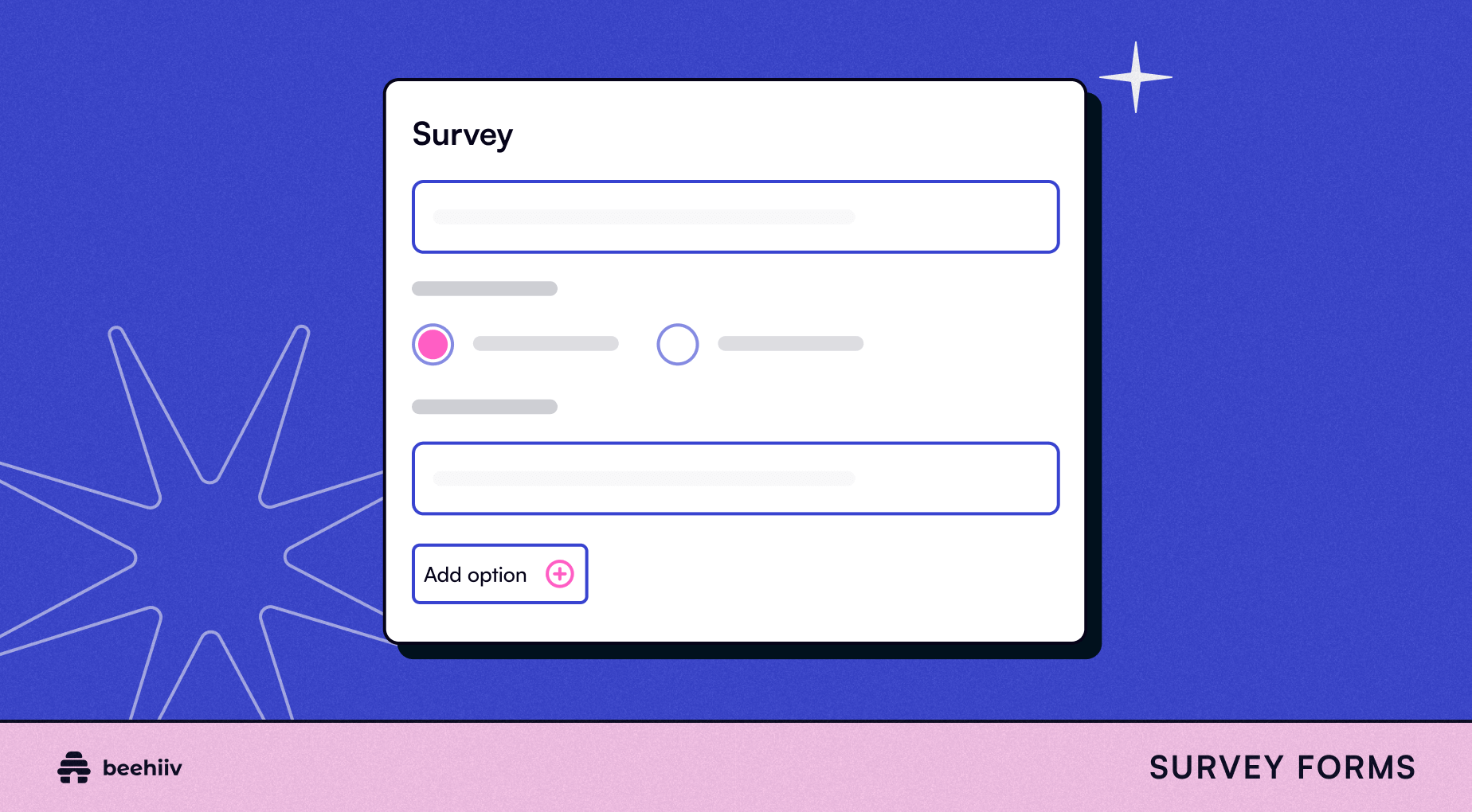 Learn about your audience + personalize content with survey forms - Features - beehiiv